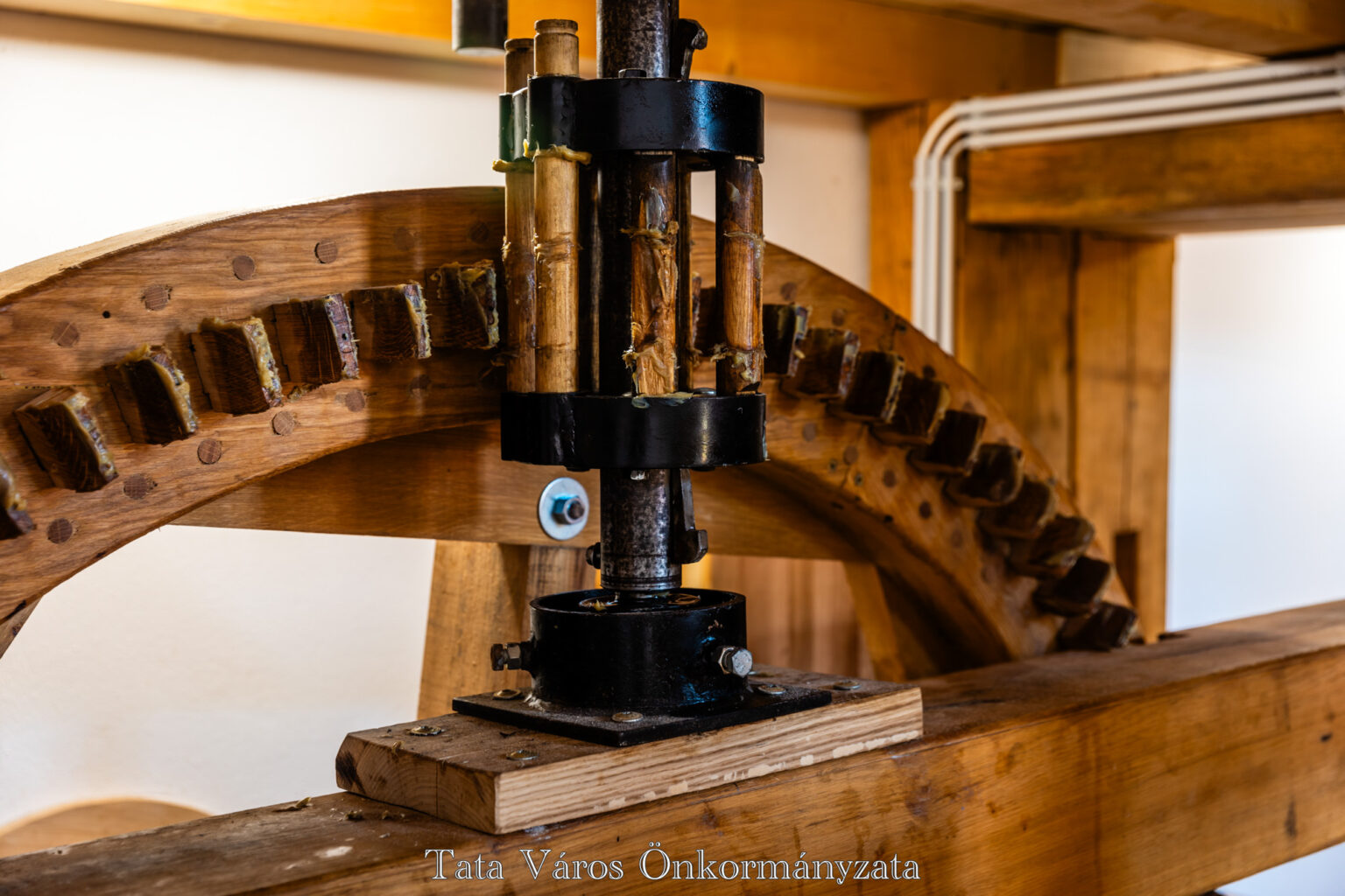 Megnyitotta kapuit a tatai Malomkert - Tata Város Önkormányzatának honlapja